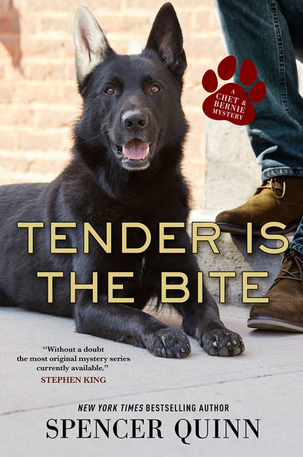 All Chet and Bernie Books - Peter Abrahams | Spencer Quinn